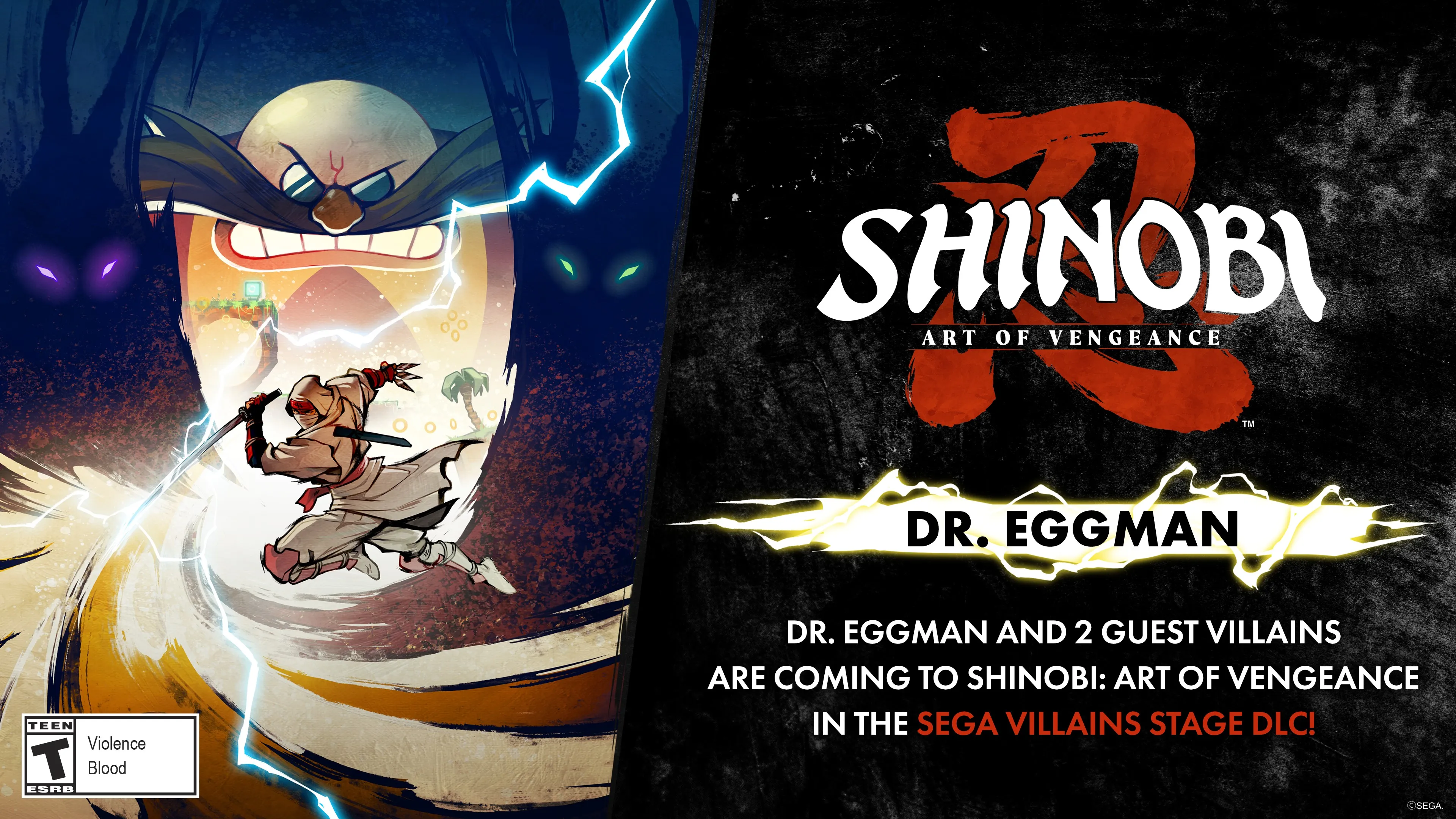 SHINOBI: Art of Vengeance |OT| A Clever Ruse OT | Page 2 | ResetEra